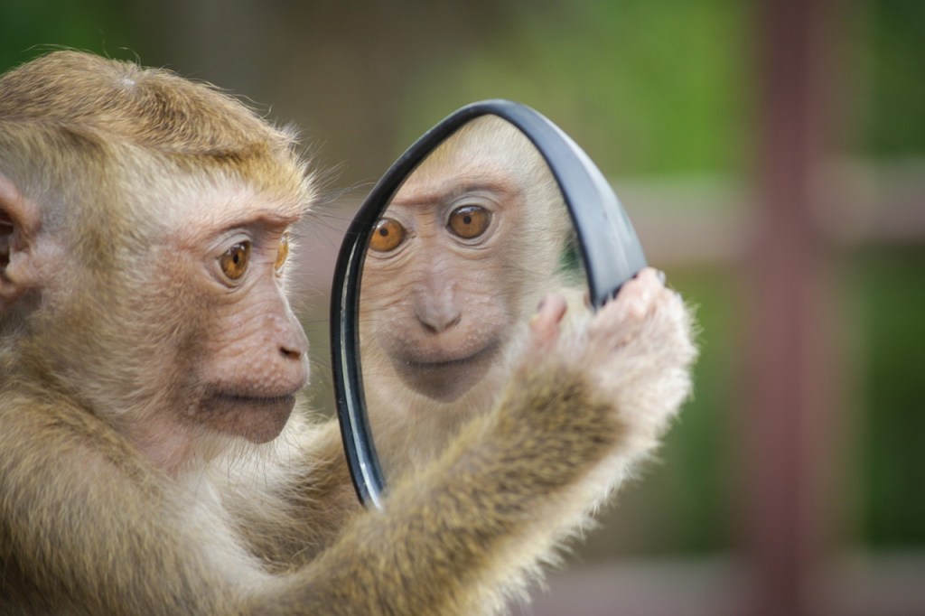 The Importance of Self-Reflection in Personal Growth – Personal Growth Hub